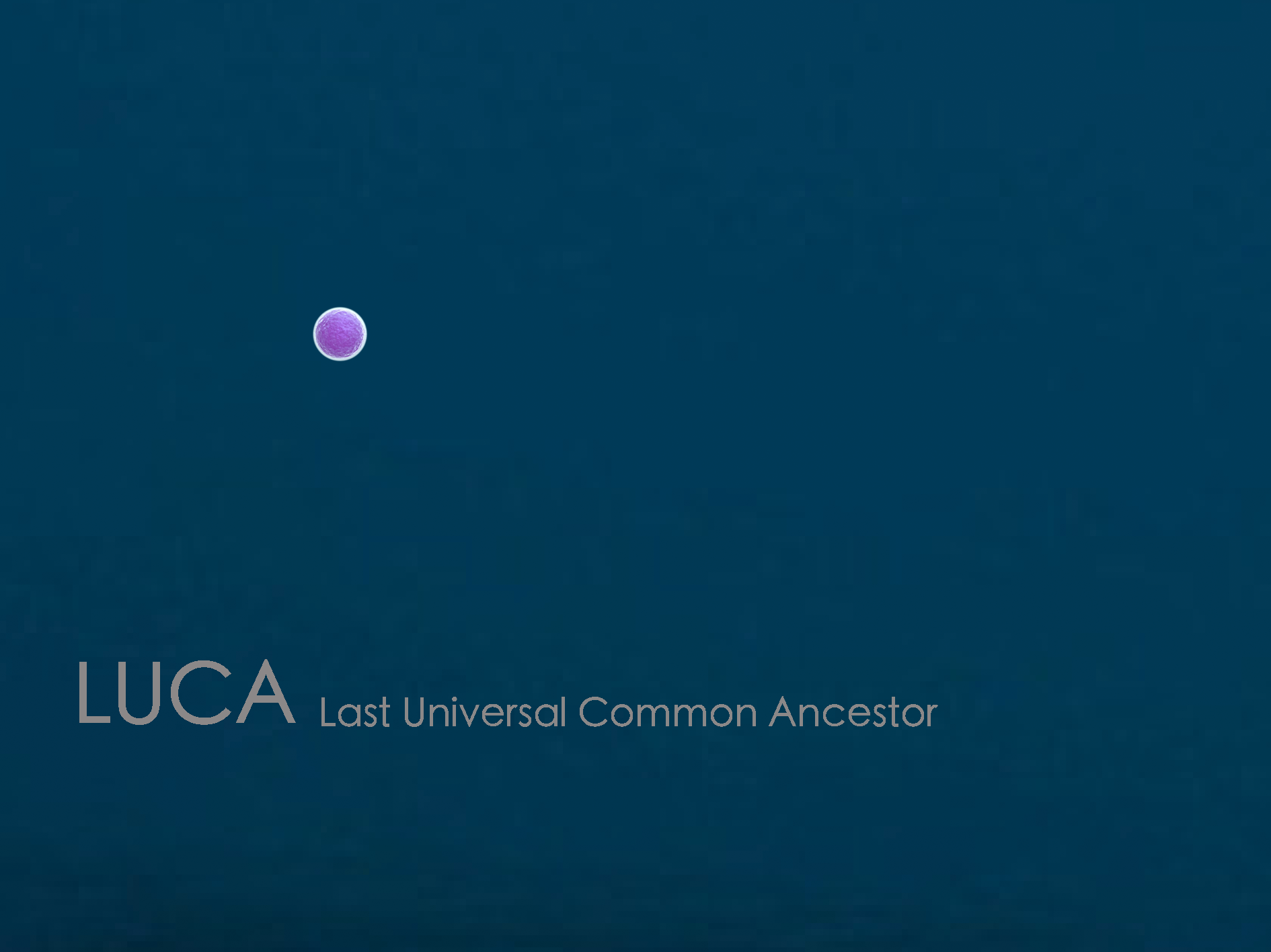 露卡（LUCA）的故事 | 大历史在线